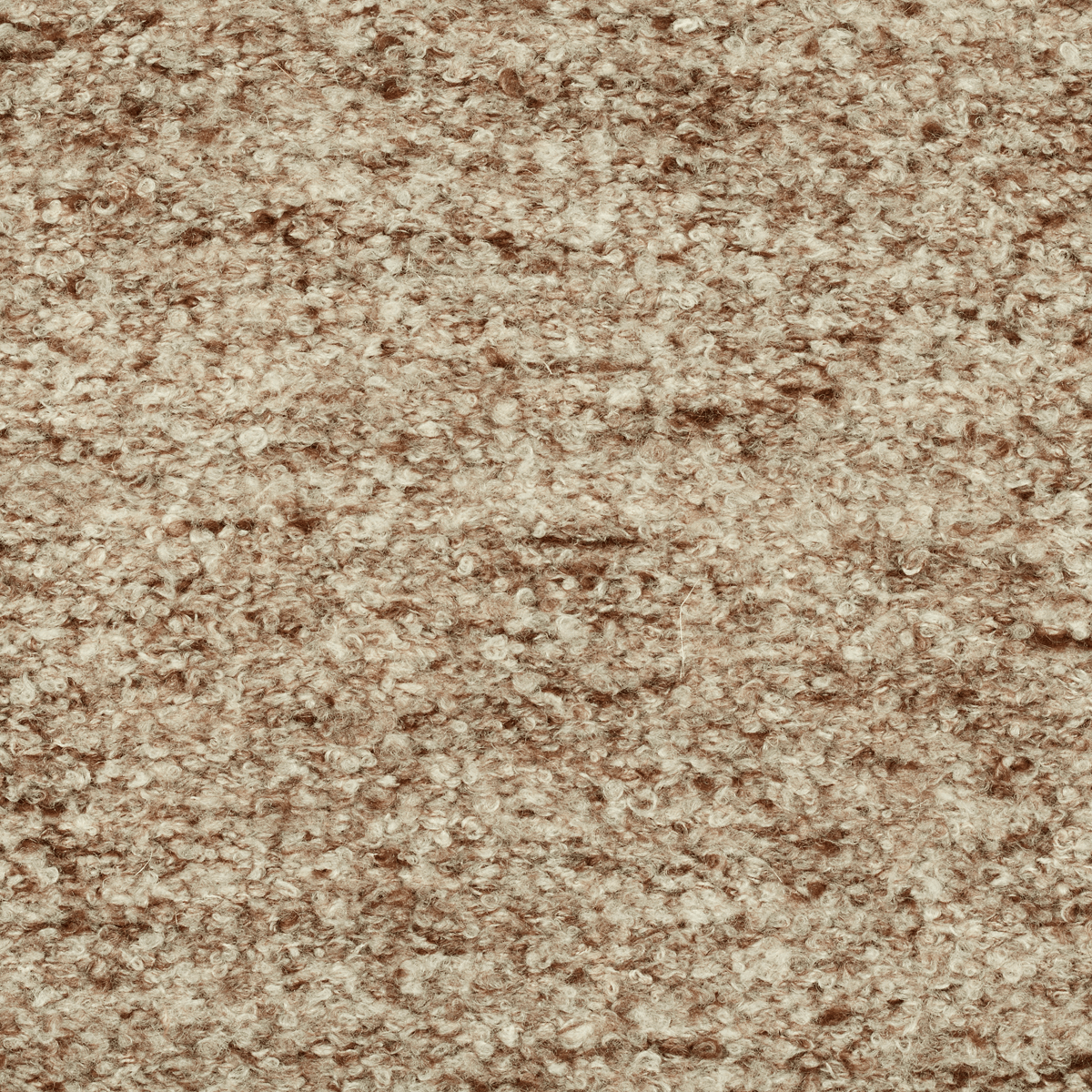 Curly Shag Espresso Rug