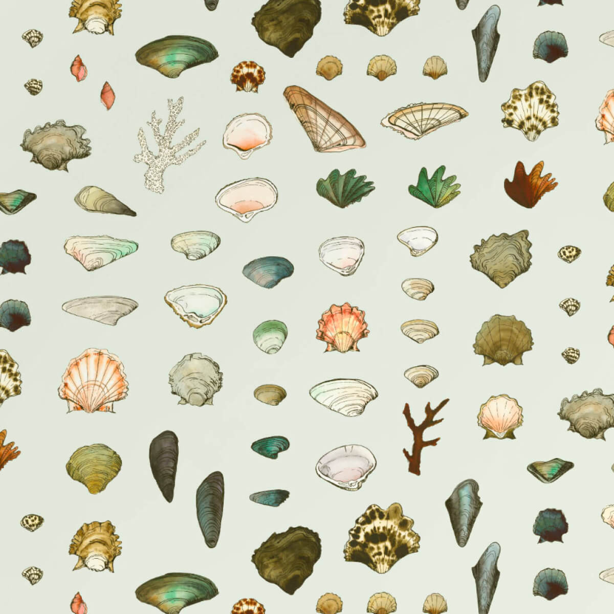 Shellz Dirty Mint Wallpaper