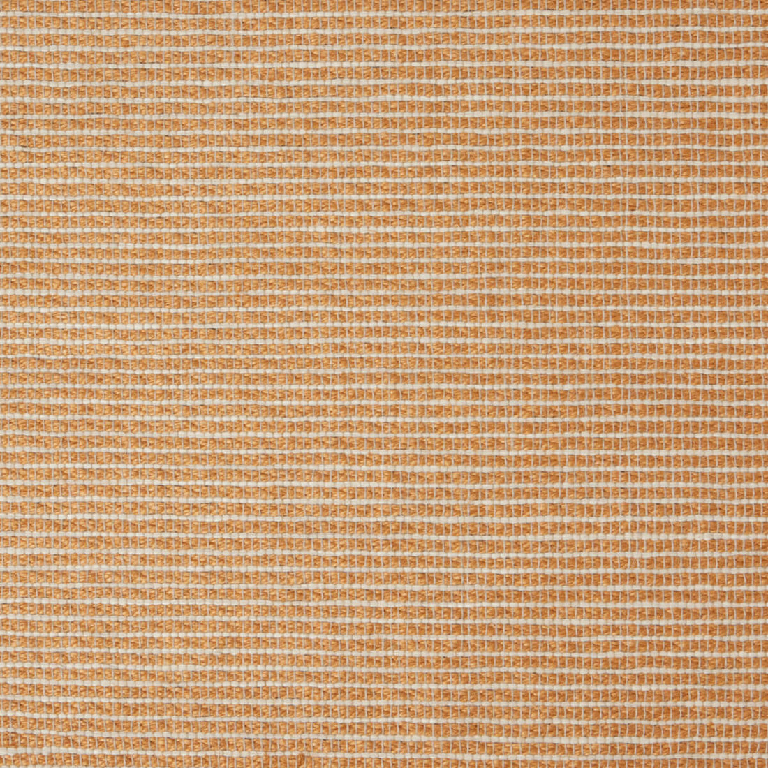 Bright and Colorful - Rugs