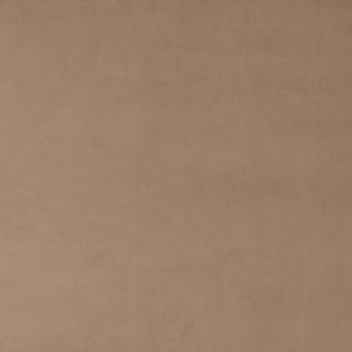 Vera Mocha Velvet Fabric