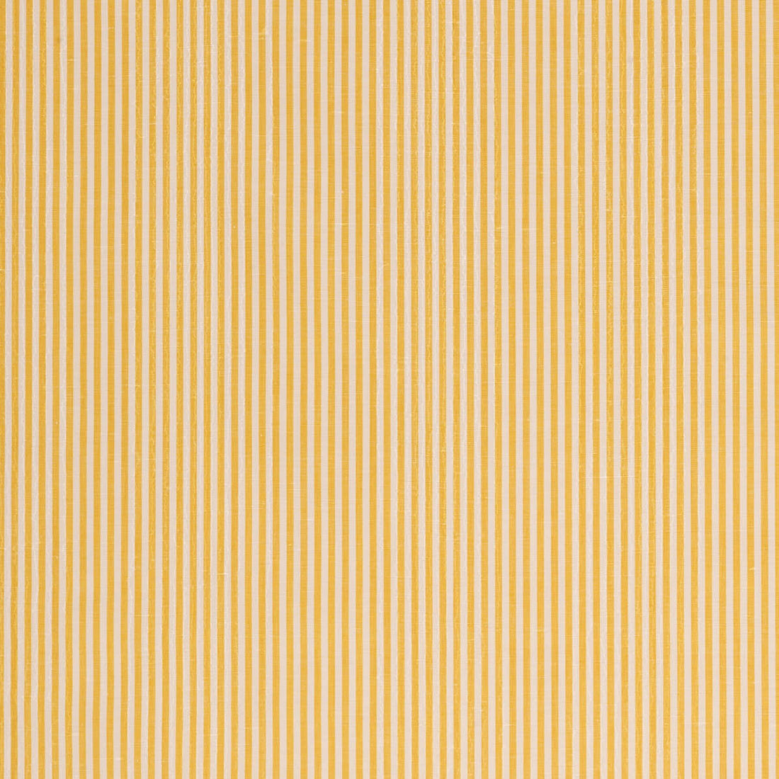 Stripes & Checks - Fabric