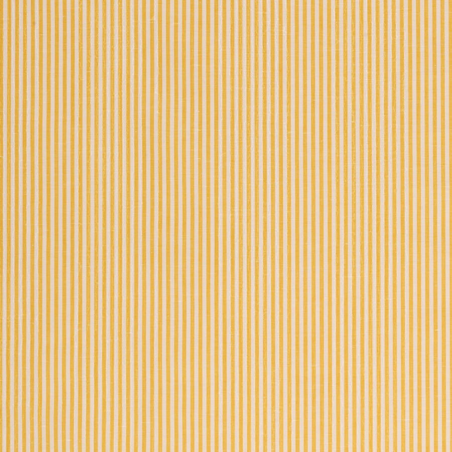 Stripes & Checks - Fabric