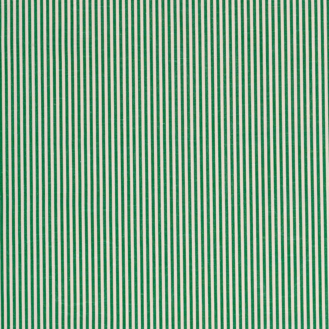 Stripes & Checks - Fabric