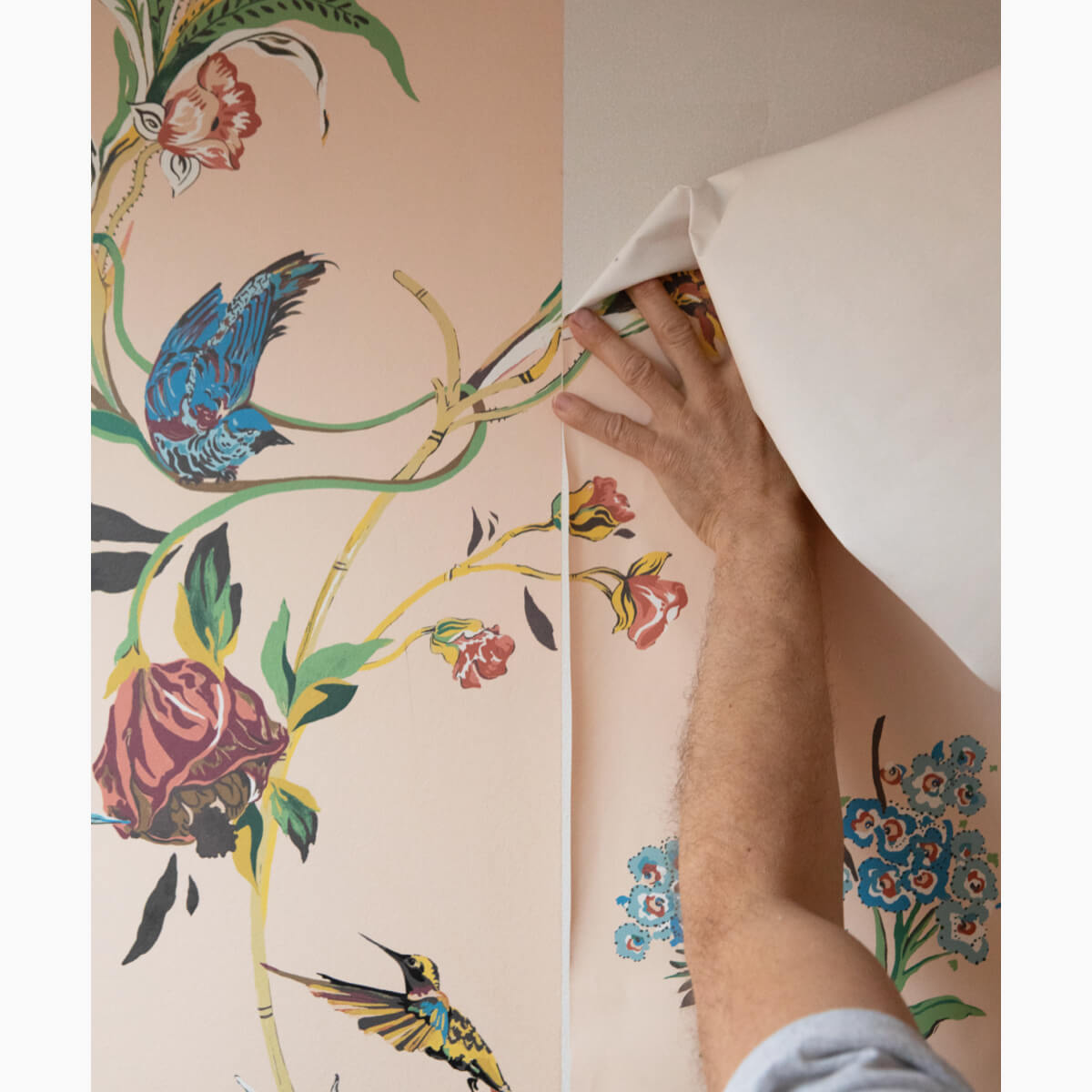 Quint Botanical Apricot Wallpaper